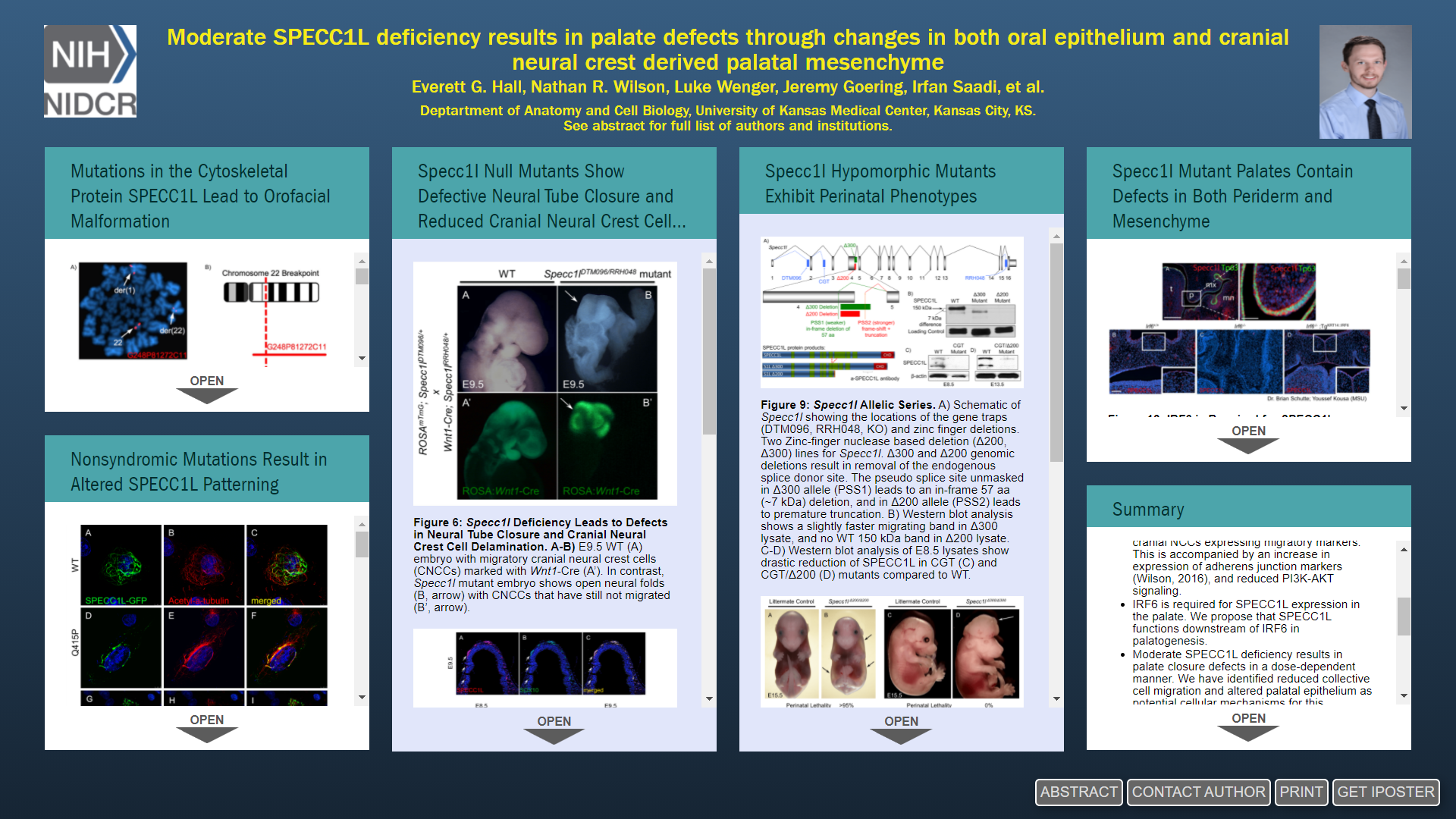 Examples of multimedia presentations created using iPosters